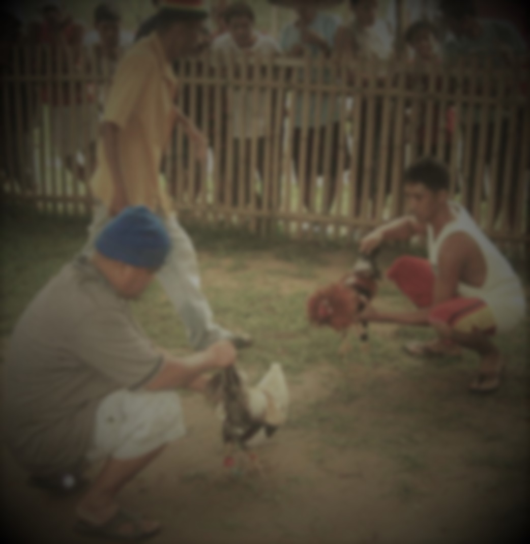 9 “sabungeros” nabbed at illegal cockfighting arena in Malabon City ...