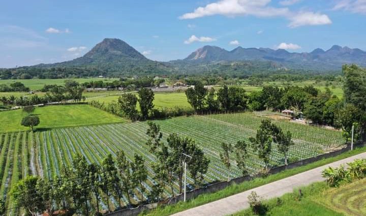 “Modern precision farming,” gamit sa 10 model farm sa Dinalupihan ...